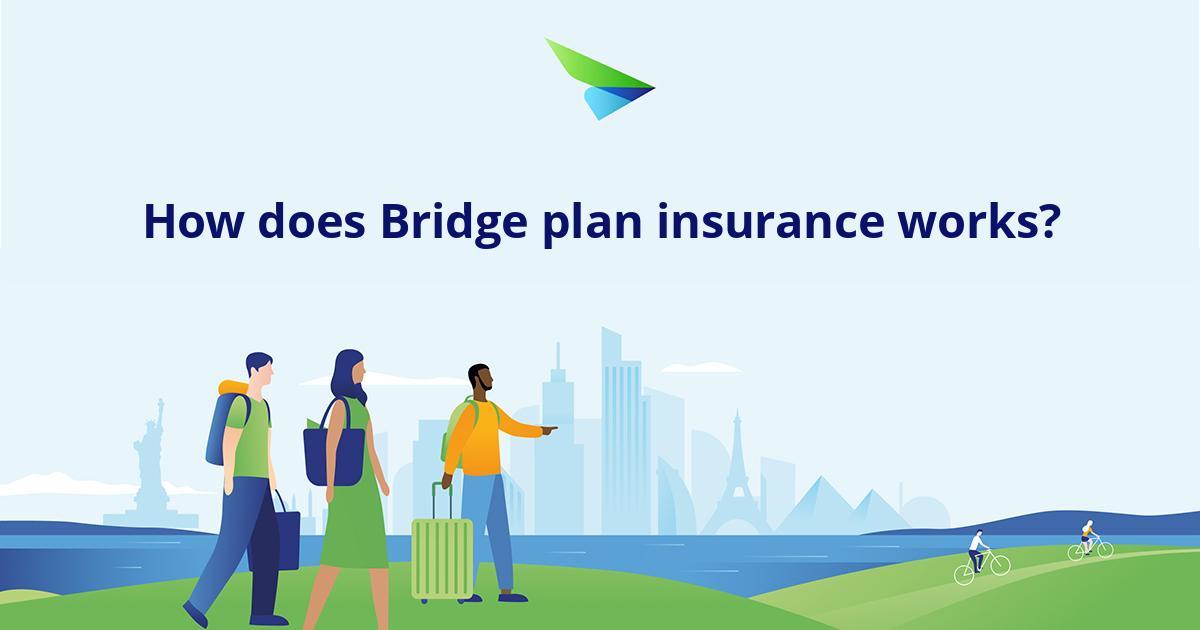 How does Bridge plan insurance works?
